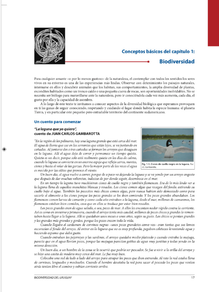 Conceptos+ba_sicos+de+biodiversidad.+Biodiversidad+del+Uruguay.+Virginia+Gasdia | PDF