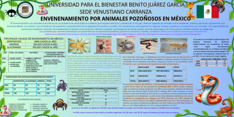 Envenenamiento por Animales Venenosos en México | PDF | Veneno | Araña