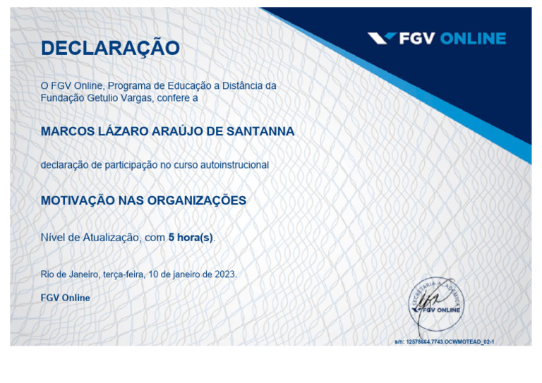 Declaração de Curso FGV: Motivação | PDF
