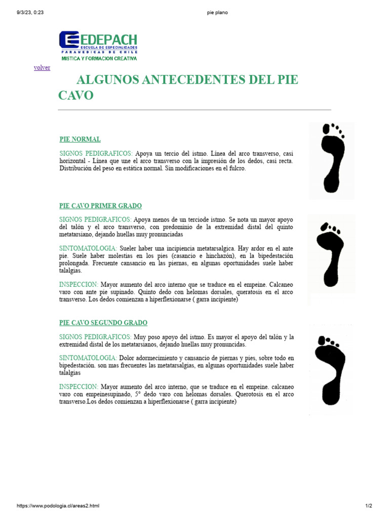 Tipos de Pie Cavo: Síntomas y Signos | PDF | Pie | Dedo del pie