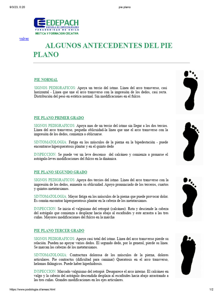 Pie Plano | PDF | Pie | Anatomía humana