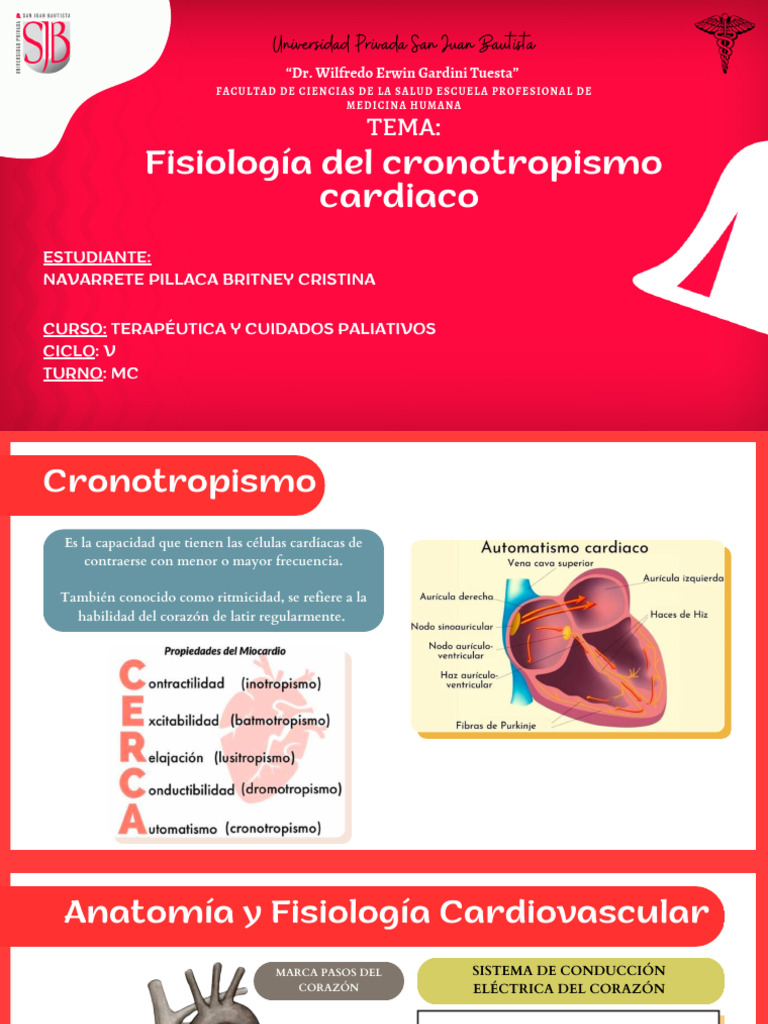 Fisiología del Cronotropismo Cardíaco | PDF | Corazón | Sistema ...