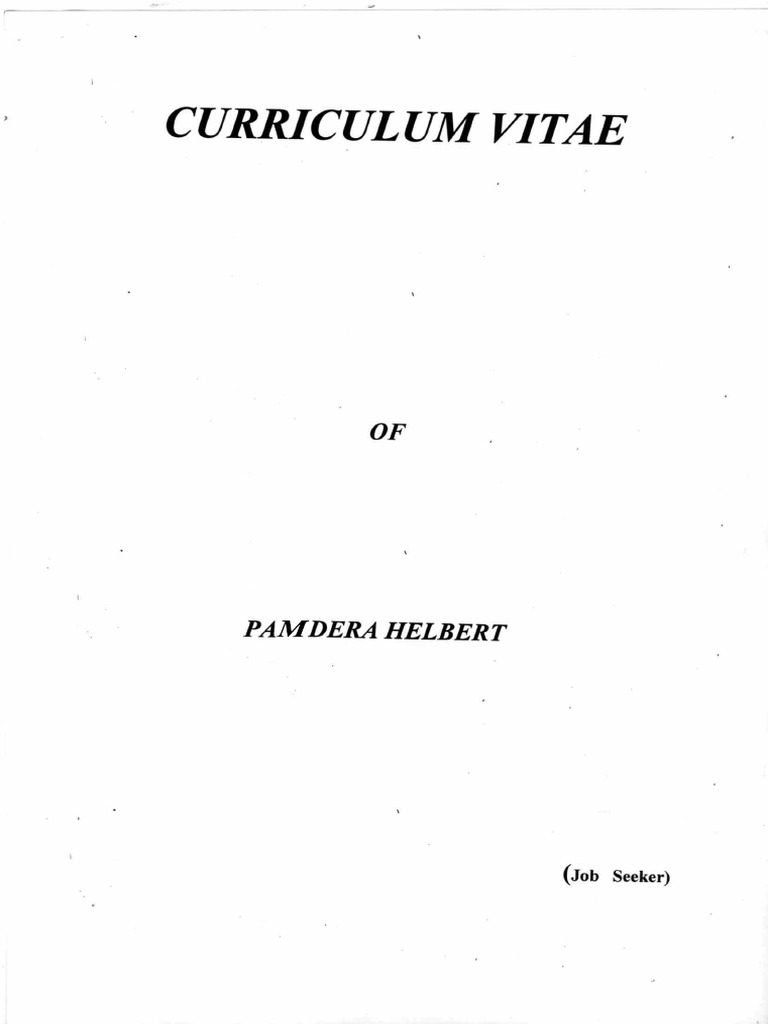 Herbert Pamdera's CV | PDF