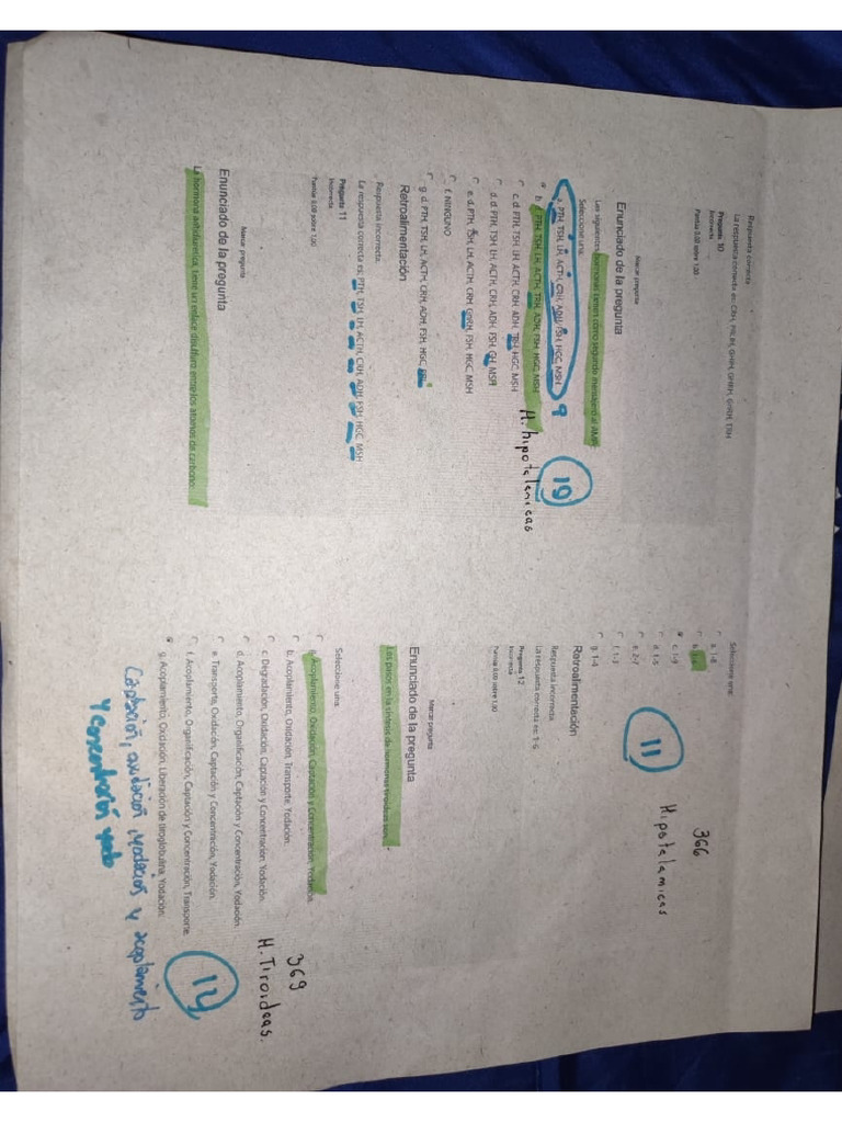 Gen Scanner Document Overview | PDF