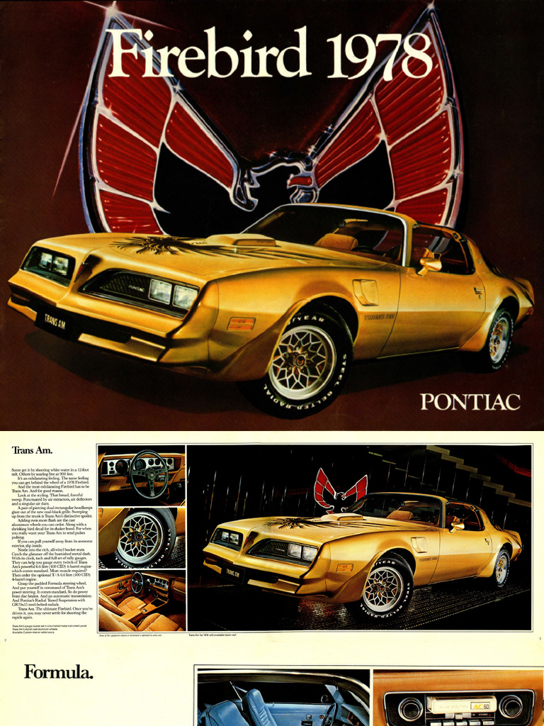 1978 Pontiac Firebird CN | PDF