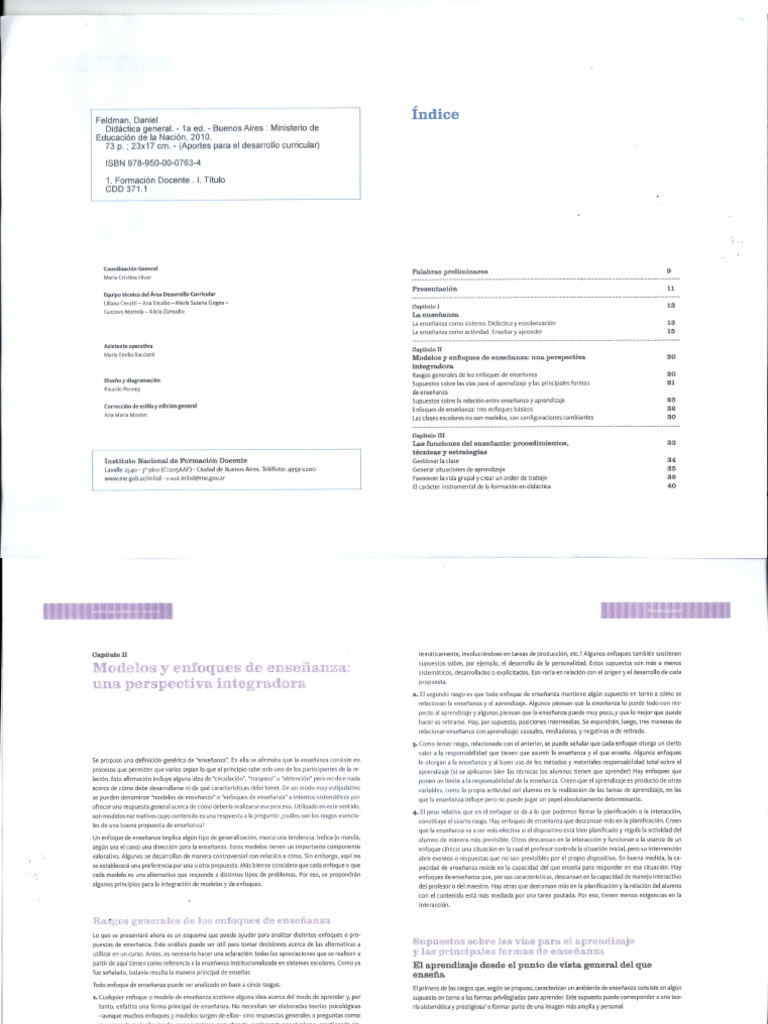 Feldman Didactica General Cap 2 | PDF