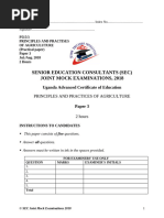 Sub-Ict Paper 3 Uneb 2024 | PDF | Computer File | Software