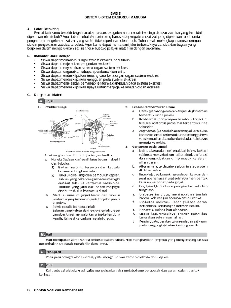 Fungsi dan Proses Ginjal dalam Ekskresi | PDF