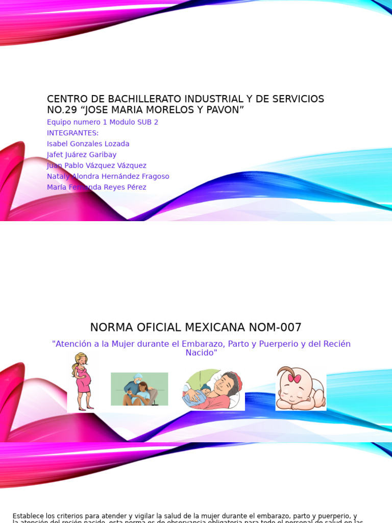 Nom 007 | PDF | Parto | El embarazo