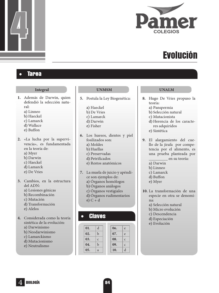 Tareas_Sec B2_S4 | PDF | Evolución | Seleccion natural