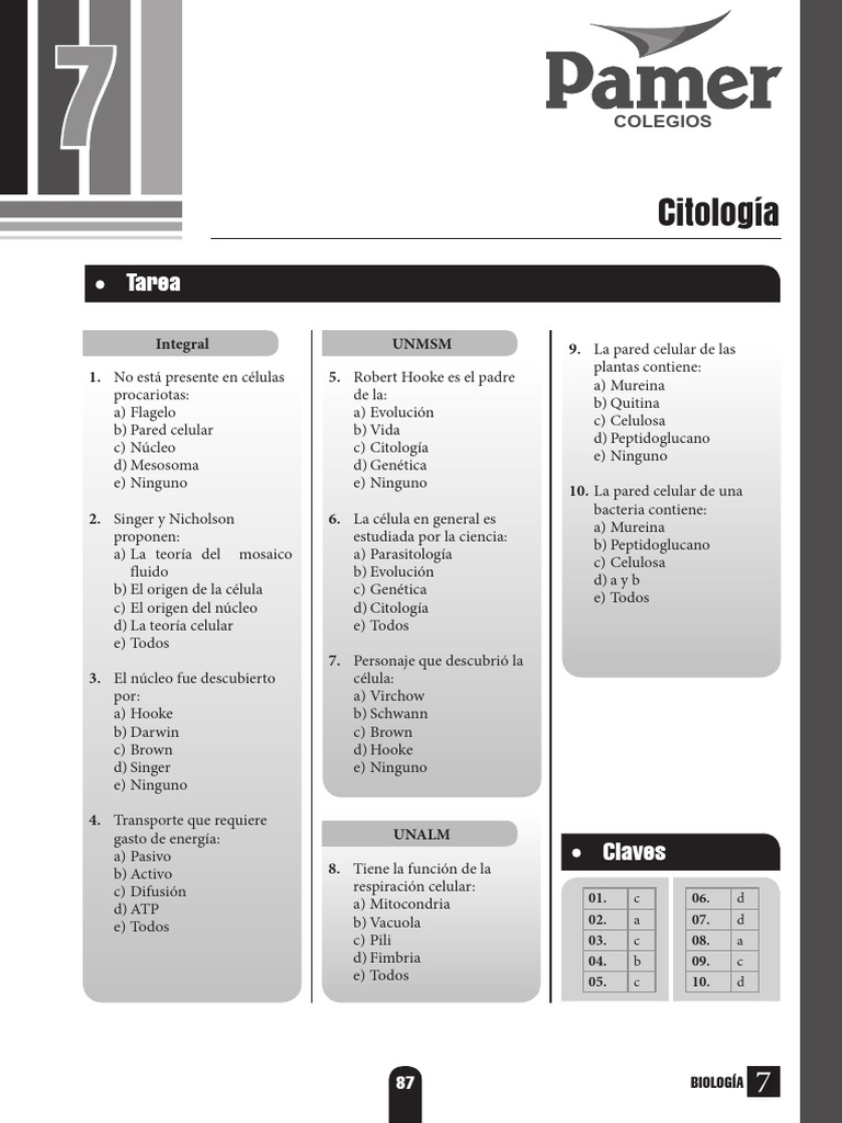 Tareas - Sec B2 - S7 | PDF | Biología Celular) | Biología