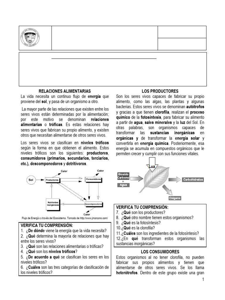 Relaciones Alimentarias en Ecosistemas | PDF | Red alimentaria | Ecología