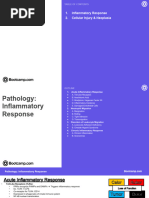 Stamm Gastrostomy Procedure Guide | PDF | Surgical Suture | Medicine