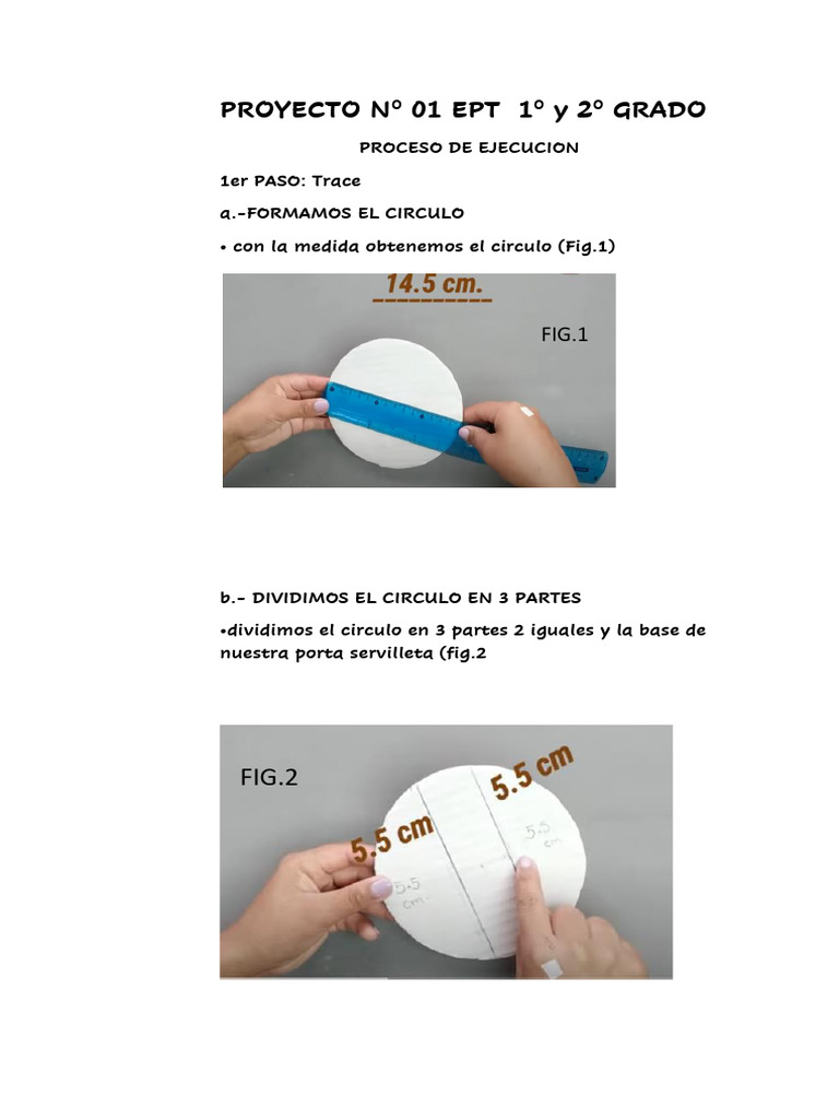 Proyecto N°1 Ept 1° y 2° | PDF