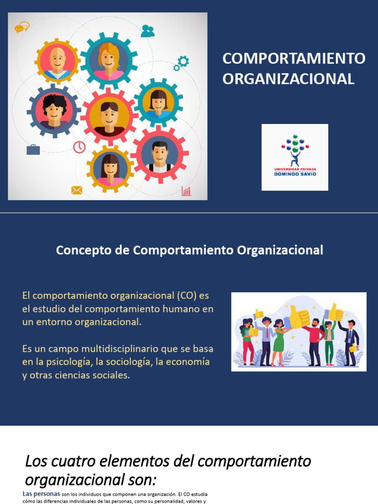 Cap 1 - COMPORTAMIENTO ORGANIZACIONAL | PDF | Comportamiento ...