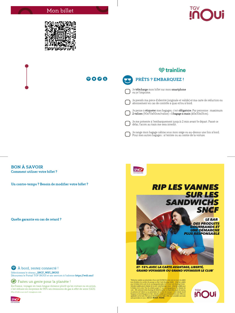 Billet TGV INOUI Paris-Lyon 29 Janv 2025 | PDF | Transport