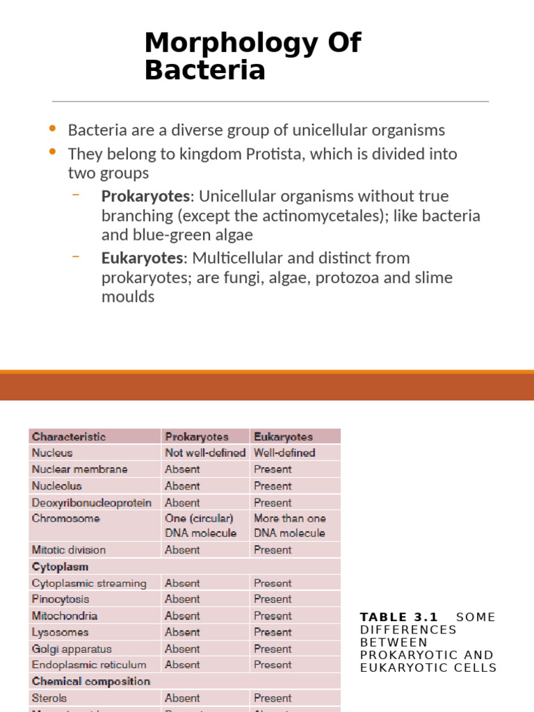Morphology Of Bacteria Pdf Bacteria Cell Biology