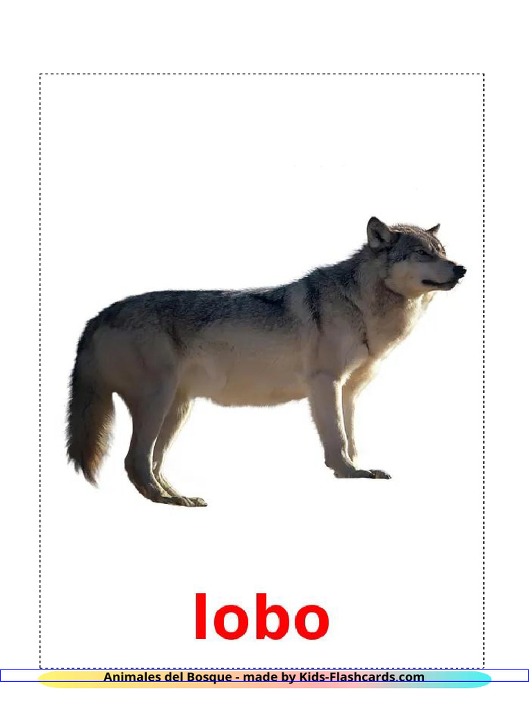 Flashcards de Animales del Bosque | PDF