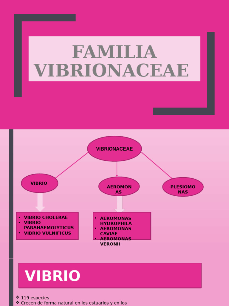 Familia Vibrionaceae y Otros | PDF | Cólera | Diarrea