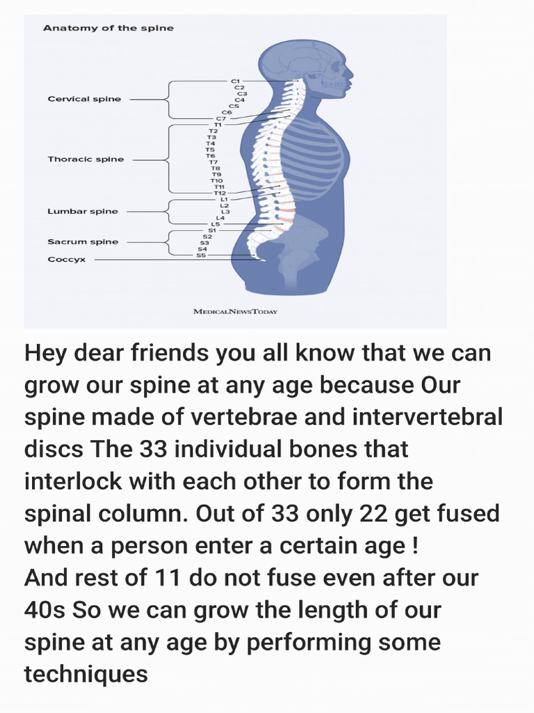 Spine Growth Techniques | PDF