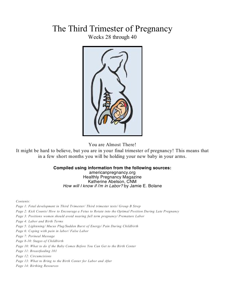 Third Trimester | PDF | Childbirth | Pregnancy