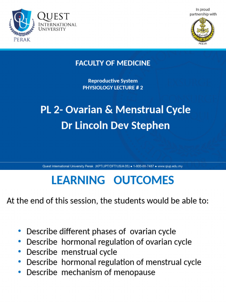 Ovarian and Menstrual Cycle Overview | PDF | Menstrual Cycle | Ovary