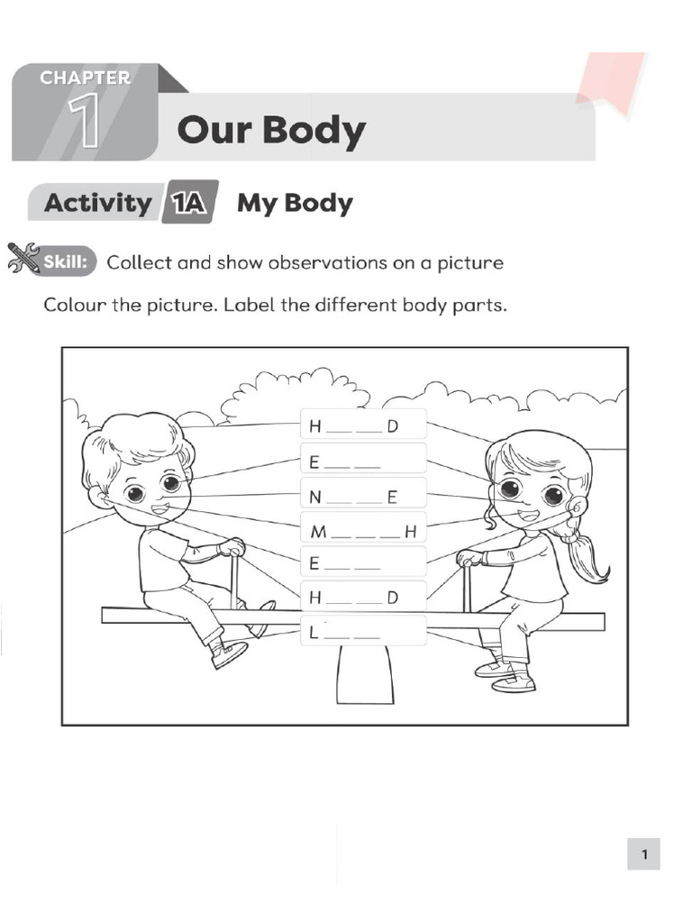Worksheet Review Grade 1 Science | PDF