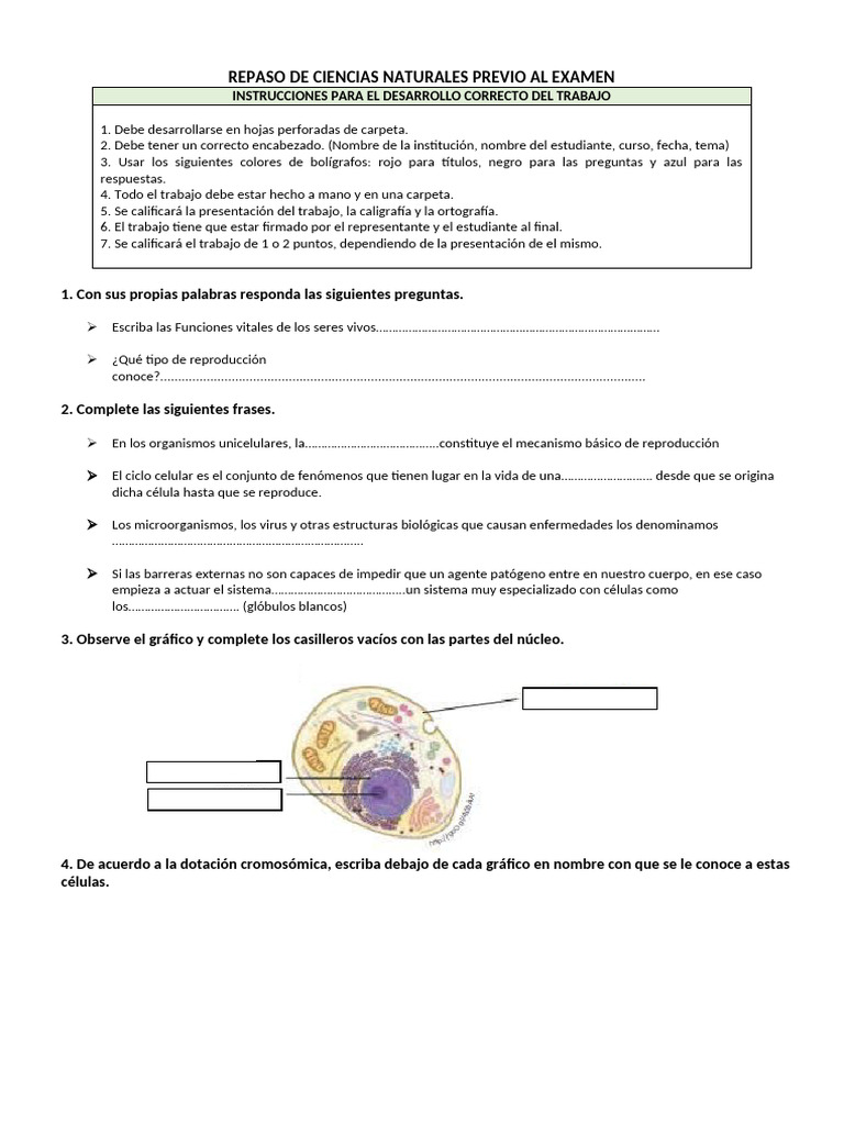 Cuestionario CCNN 2do Trimestre | PDF | Mitosis | Reproducción