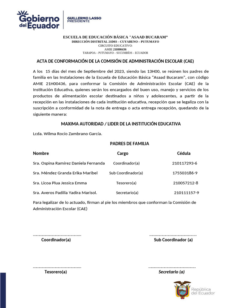 Acta de Conformación Del Cae-1 | PDF