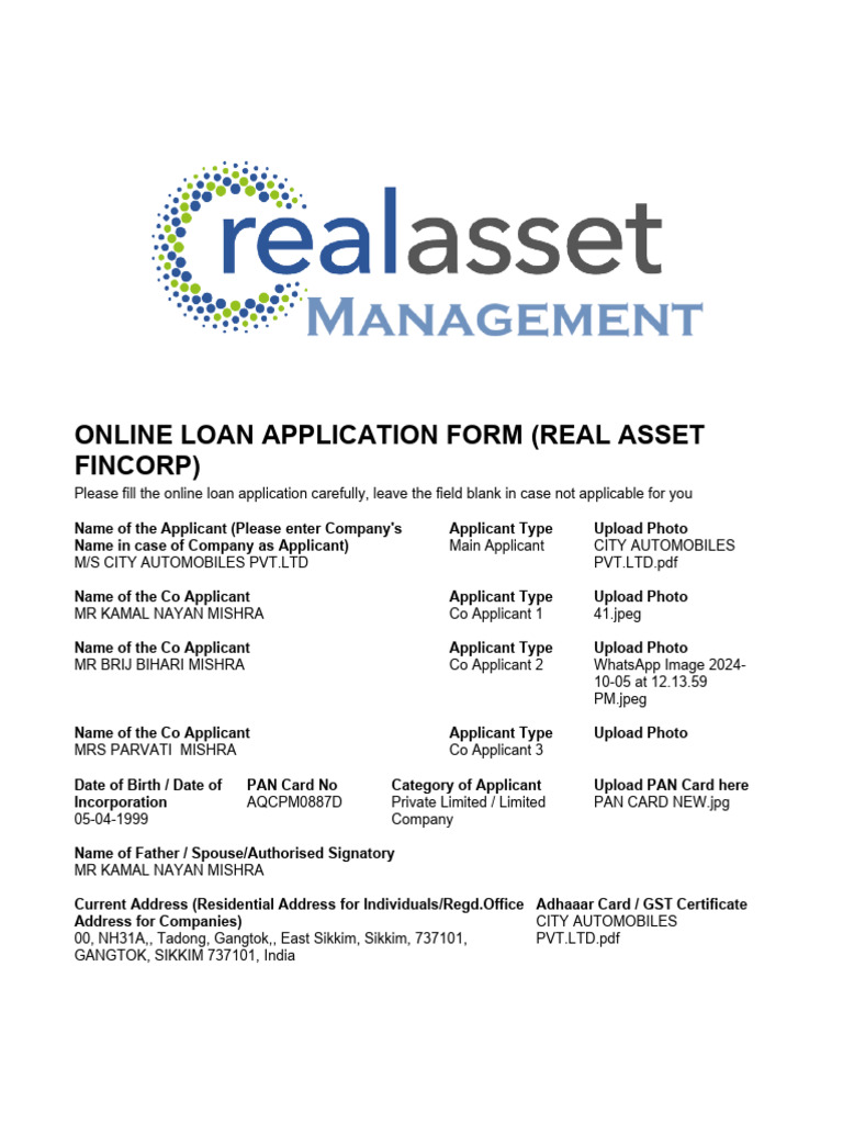 Online Loan Application Form (Real Asset Fincorp) - 228 | PDF | Loans ...