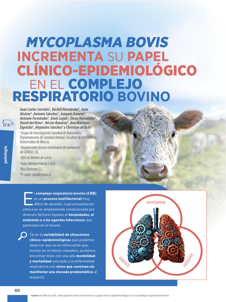 Mycoplasma bovis y su impacto en CRB | PDF | Virus | Infección