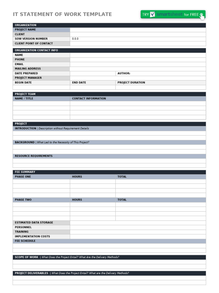 IC IT Statement of Work Template 8719 | PDF | Information | Reliability ...