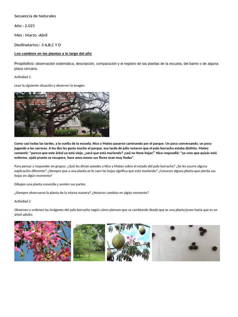 Cambios en las Plantas: Observación y Análisis | PDF | Plantas | Botánica