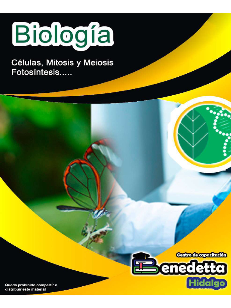 Biologia Temas de Estudio Básico | PDF | Mitosis | Biología