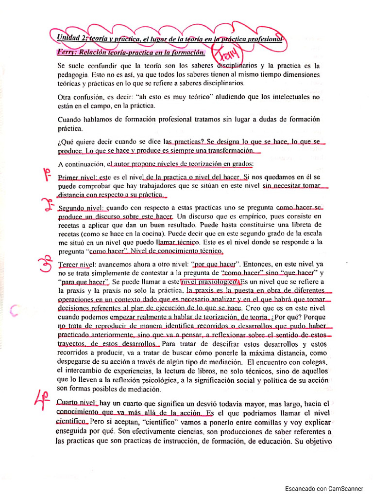 Unidad 2 Resumen Práctica Prof PDF | PDF