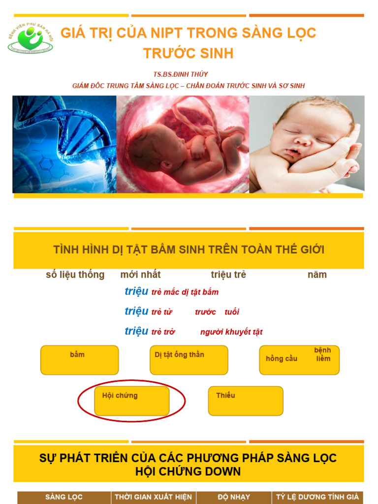 Gensolution NIPT 2022 | PDF