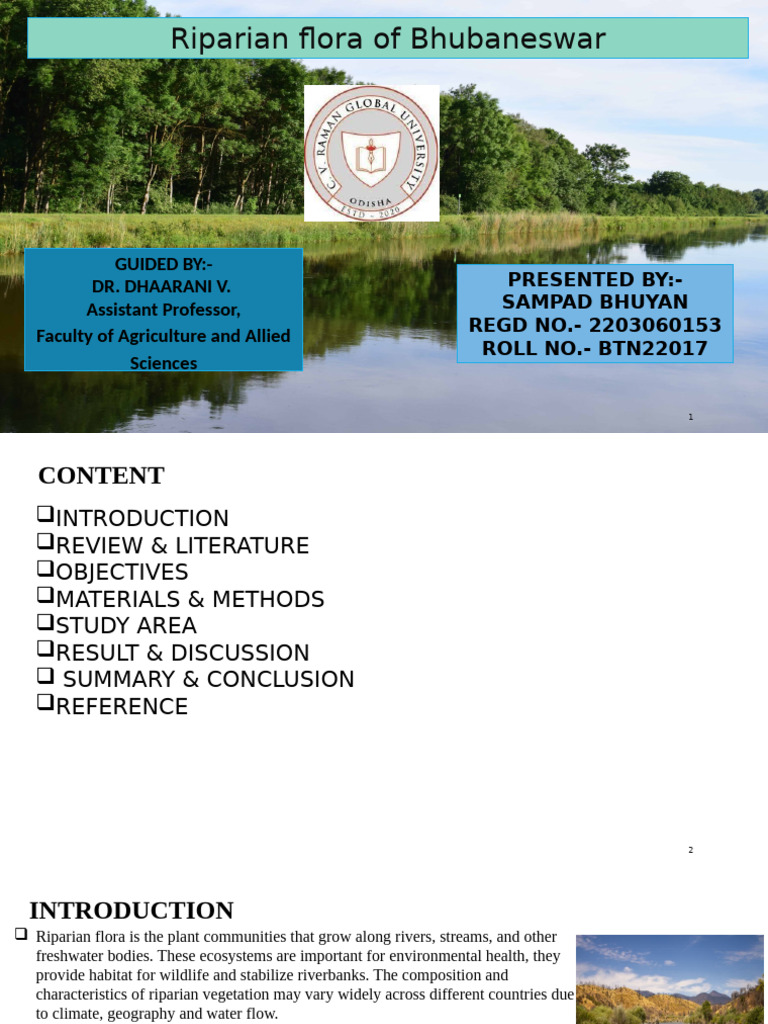 Sampad Project | PDF | Riparian Zone | River