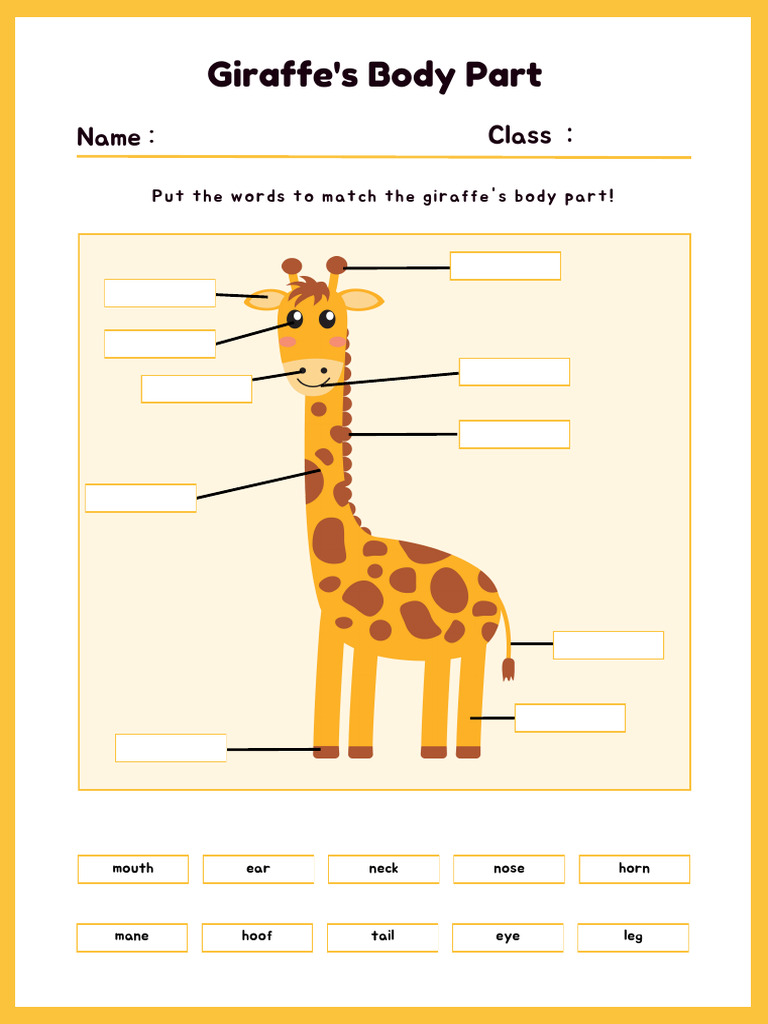 Giraffe Body Parts Worksheet | PDF