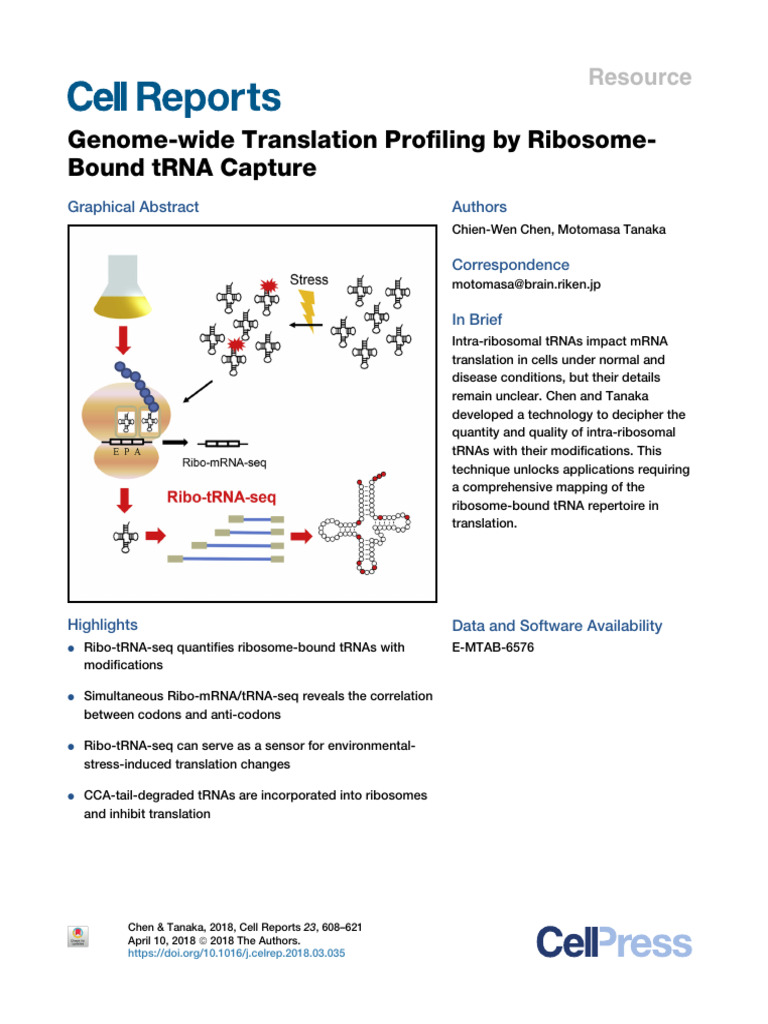 Genome-Wide Translation Profiling by RibosomeBound tRNA Capture | PDF ...