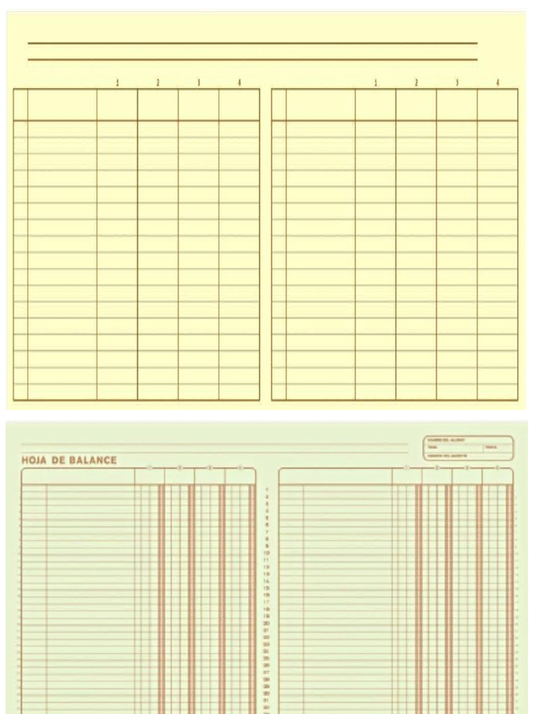 REPORTE DE RAYADO DIARIO EN FORMA DE CUENTA | PDF
