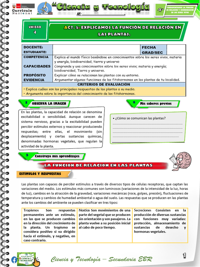 D-4º ACT 5-CYT-UND 4 | PDF | Hormona Vegetal | Botánica