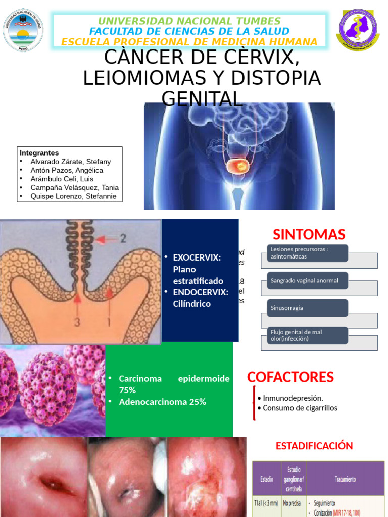 Diagnóstico y Riesgos del Cáncer Cervical | PDF | Cáncer de cuello ...