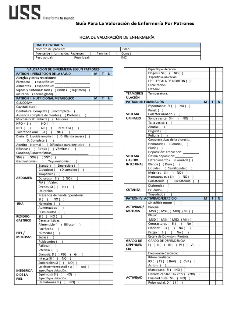 Guía De Valoración De Enfermería Pdf Medicina Clinica