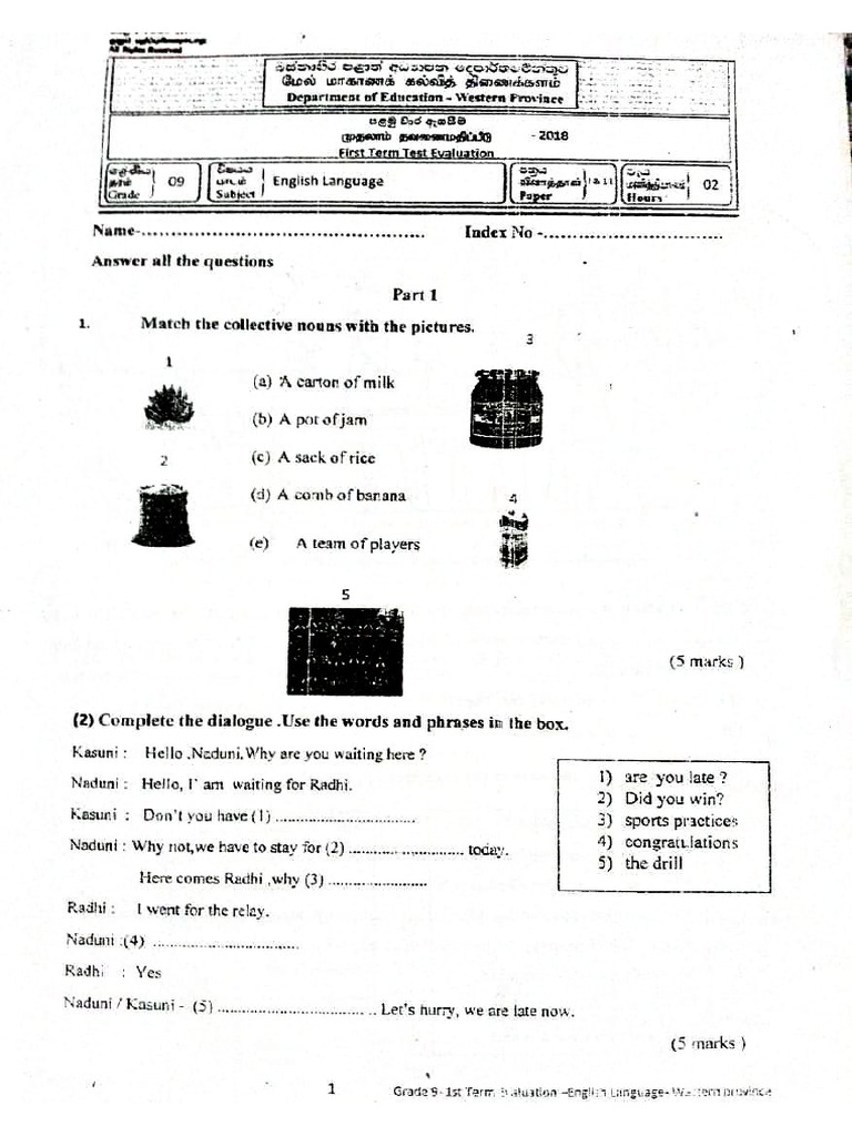 English Grade 9 - First Term Test 2018 - Western Province | PDF