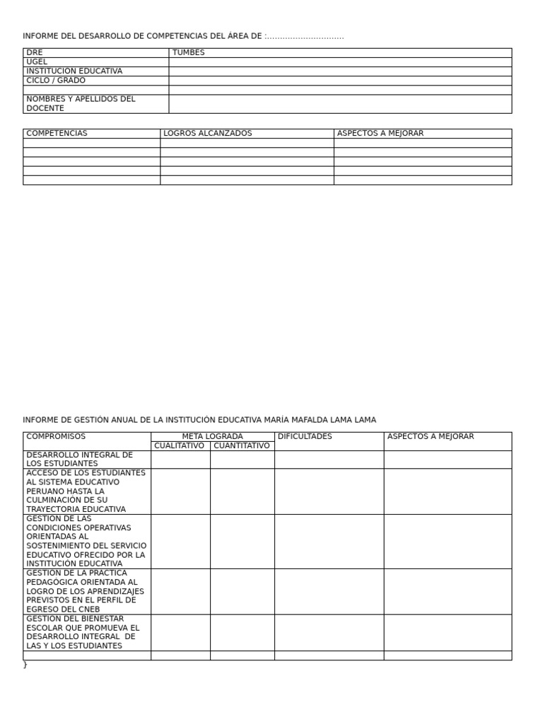 Formato para Informe de Gestion Anual | PDF