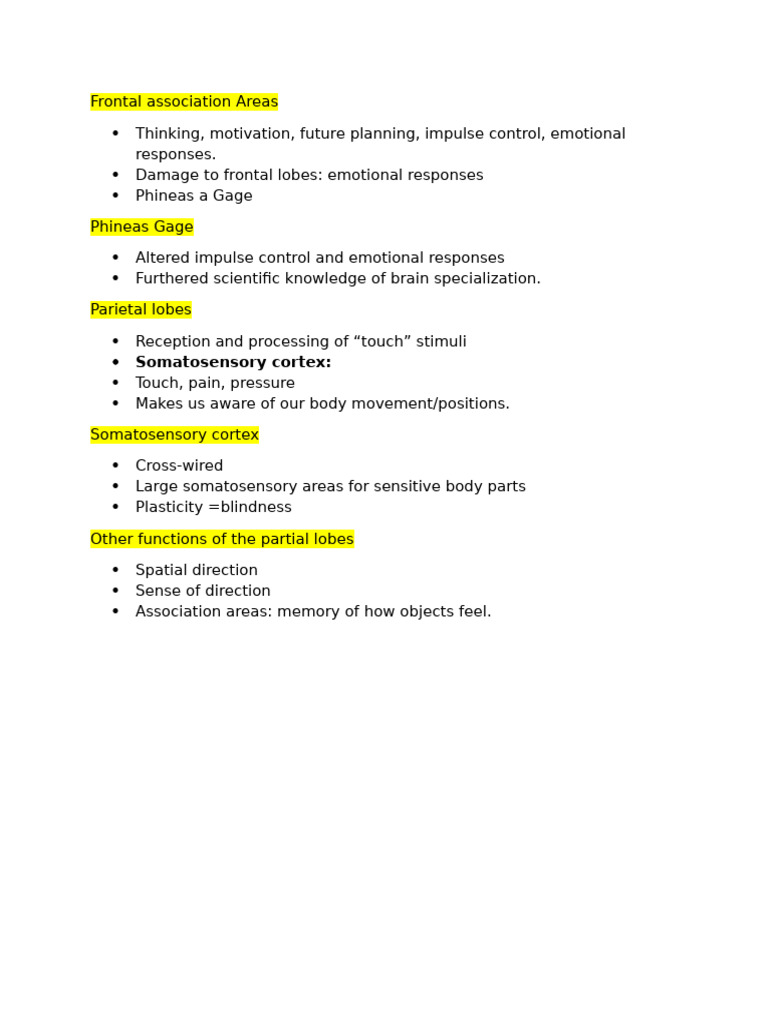 Psychology Lobes | PDF