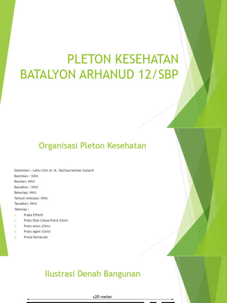 Struktur dan Personel Pleton Kesehatan | PDF