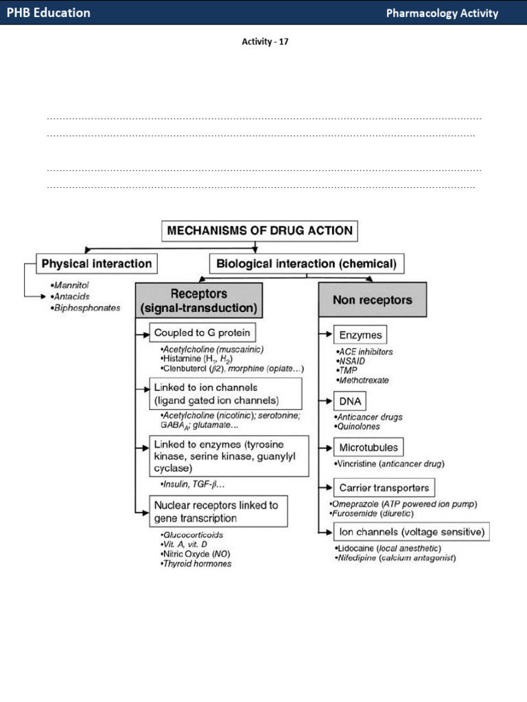 Mechanisms of Drug Action Explained | PDF