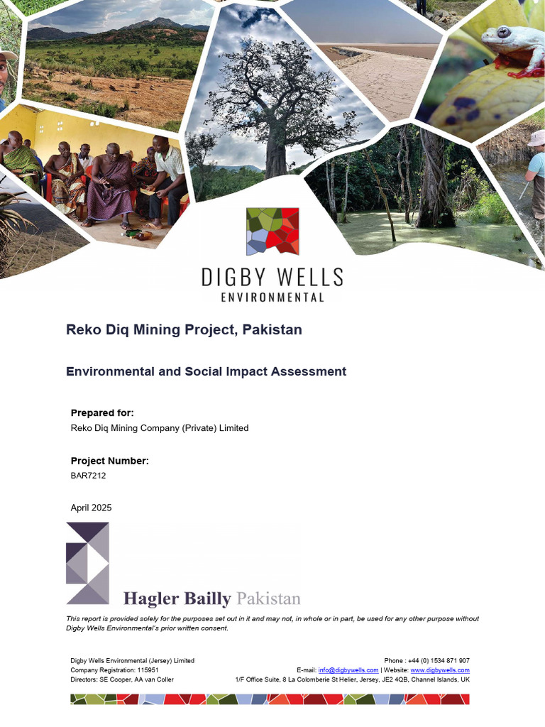 Reko Diq ESIA | PDF | Environmental Impact Assessment | Mining