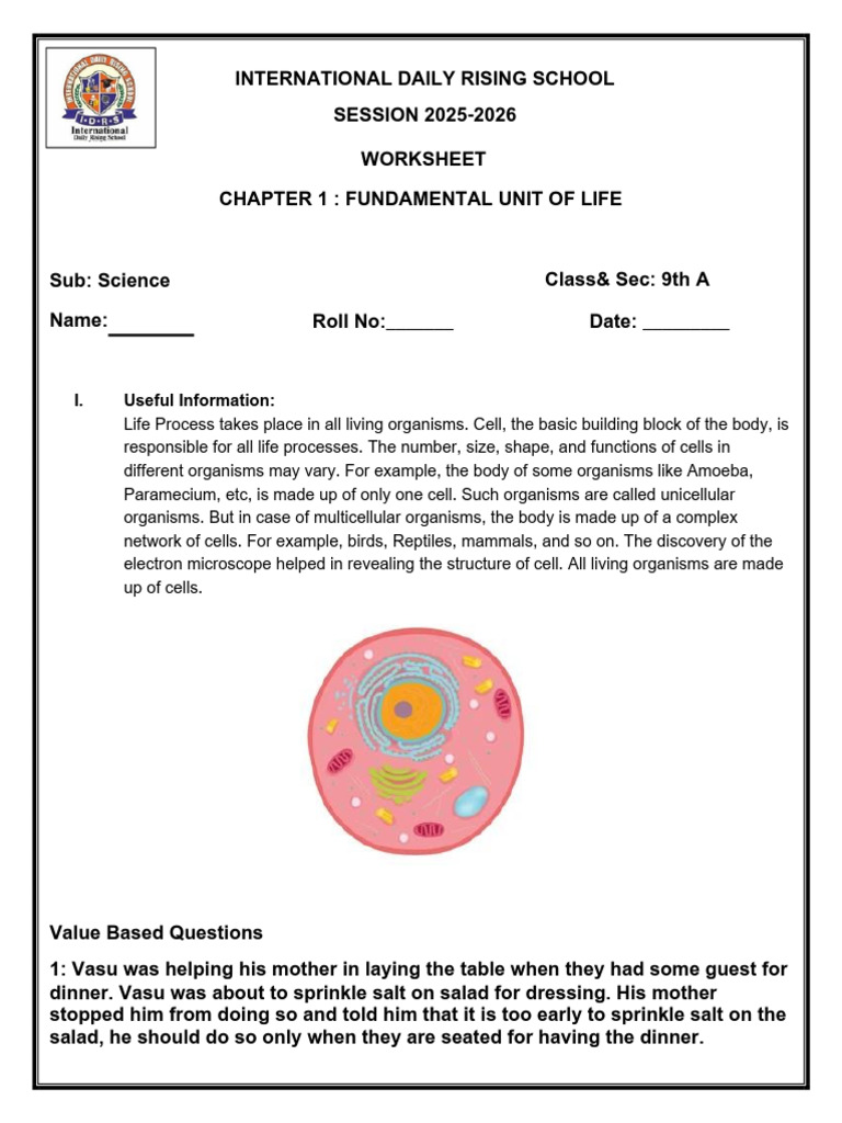 9th Grade Science Worksheet: Cell Basics | PDF | Cell (Biology) | Organisms